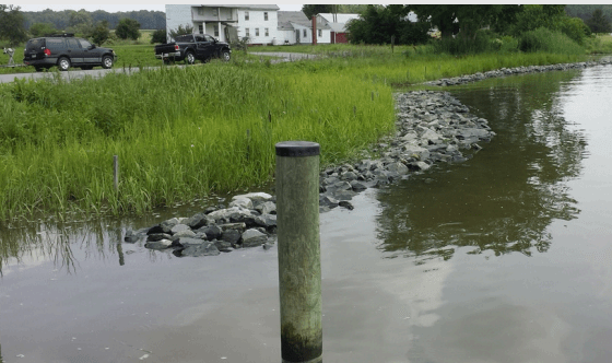 Redirecting to https://extension.umd.edu/resource/shoreline-management